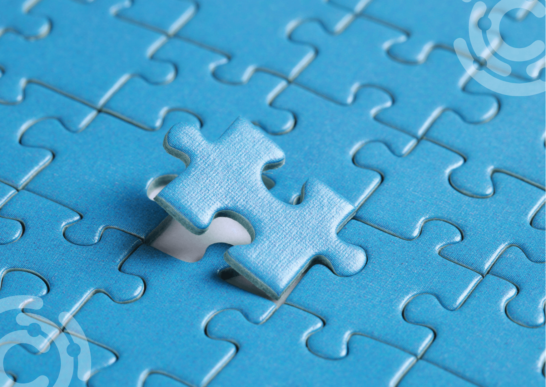 Business Collective NZ | Local Business Networking